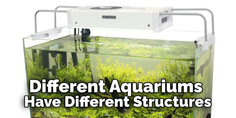 How to Mount UVB Light in Tank | 7 Steps (2026)