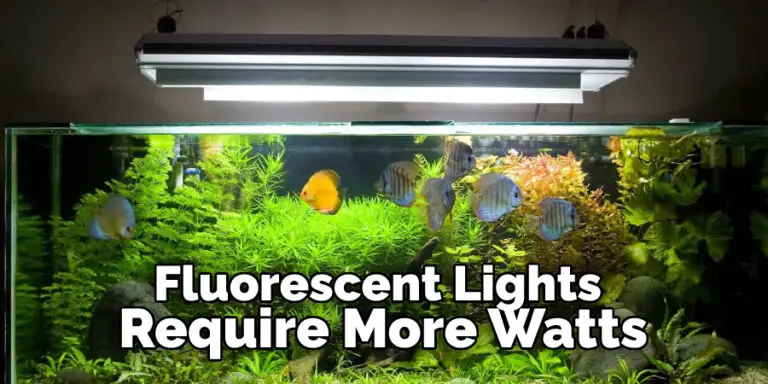 How to Mount UVB Light in Tank | 7 Steps (2026)