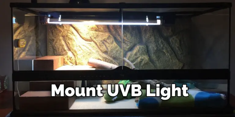 How to Mount UVB Light in Tank | 7 Steps (2026)