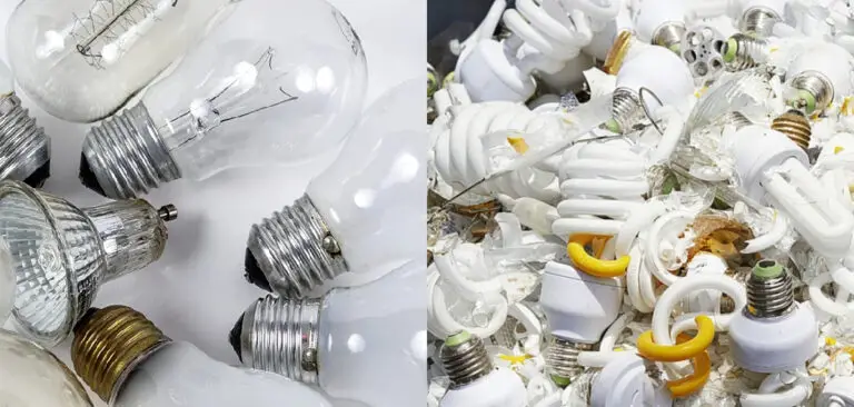 How to Dispose of Light Bulbs | 7 Effective Solutions (2025)