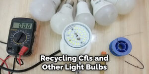 How to Dispose of Light Bulbs | 7 Effective Solutions (2023)