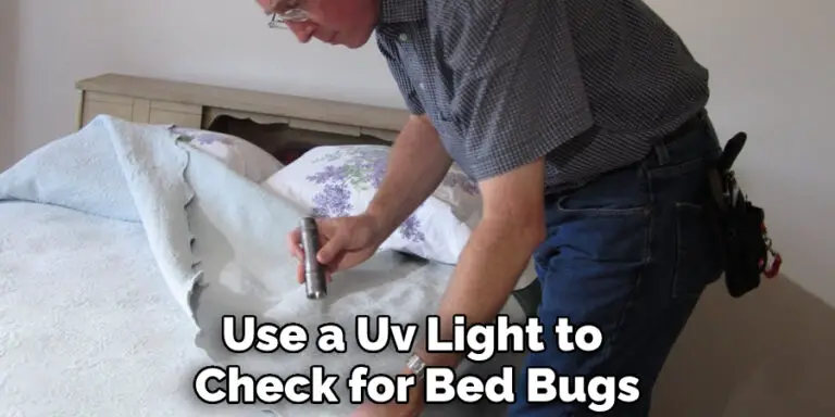 How to Check for Bed Bugs With UV Light | 7 Beneficial Steps