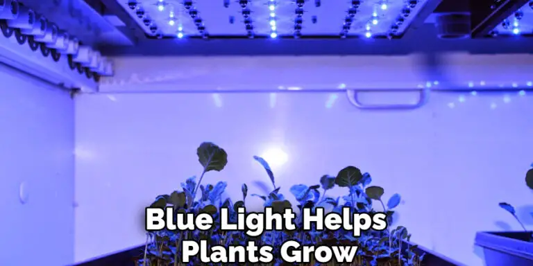 How to Use Red and Blue Grow Lights | Described In 7 Steps