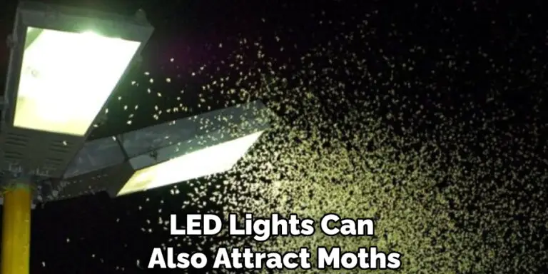 How to Keep Moths Away from Porch Light | 10 Methods to Follow