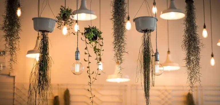 How to Trace Light Switch Wiring | 5 Methods to Follow